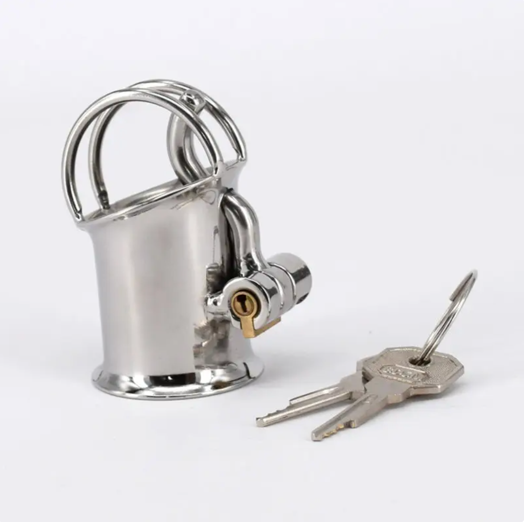 Stainless Steel PA Chastity Cage Small Penis Sleeve Prince Albert Cock ...