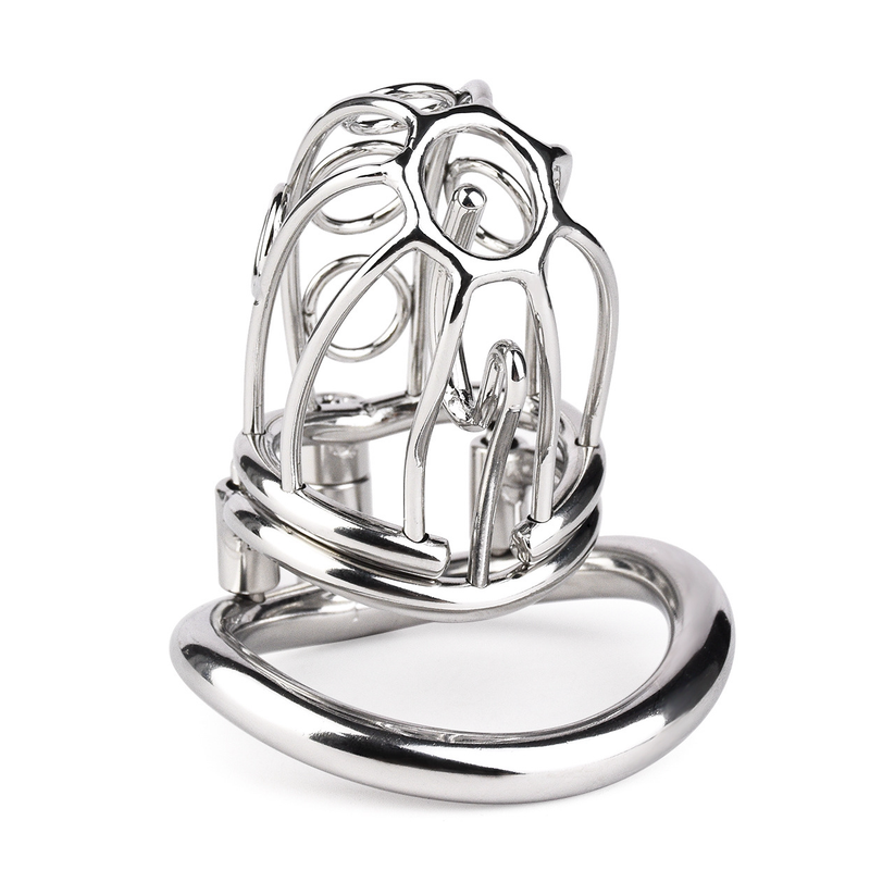 Metal PA Chastity Cage with Strap Prince Albert BDSM Cock Cage Sex ...
