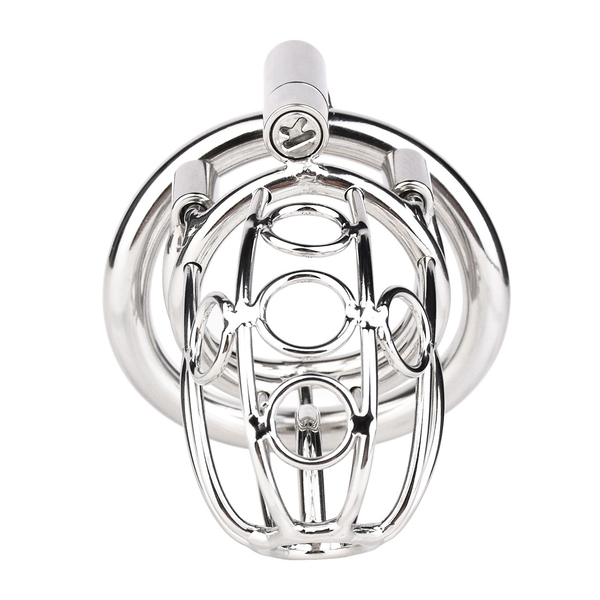 Metal PA Chastity Cage with Strap Prince Albert BDSM Cock Cage Sex ...