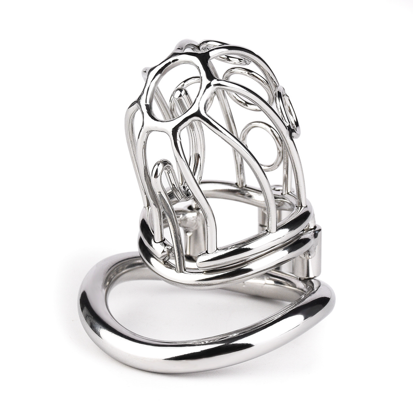 Metal PA Chastity Cage with Strap Prince Albert BDSM Cock Cage Sex ...
