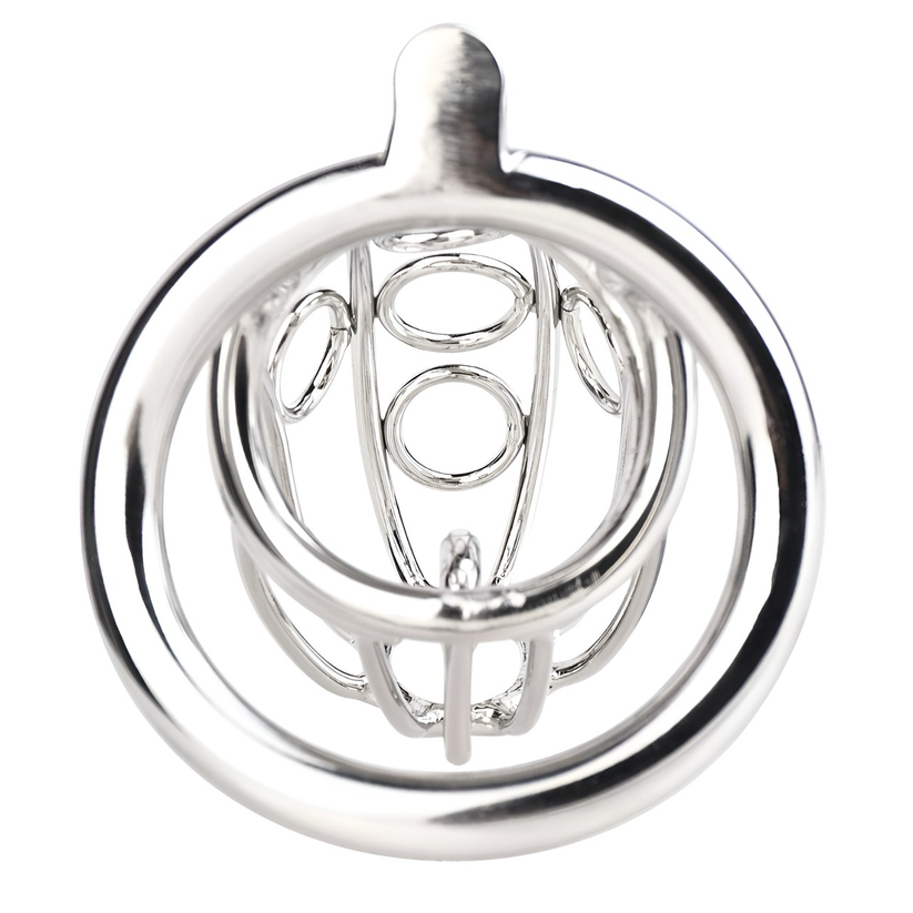 Metal PA Chastity Cage with Strap Prince Albert BDSM Cock Cage Sex ...