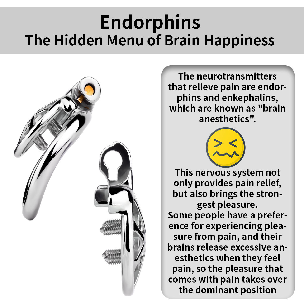 Spiked Flat Chastity Cage with Metal/Silicone Catheters Small Metal ...