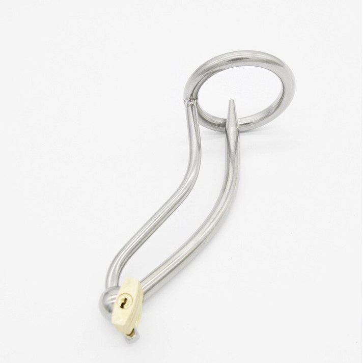 Metal PA Chastity Cage For Men Prince Albert Penis Piercing Cock Cage ...