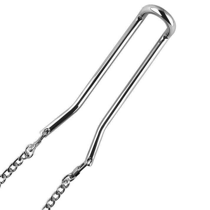 Stainless Steel Ball Scrotum Stretcher Testicle Heavy Ball CBT Penis ...